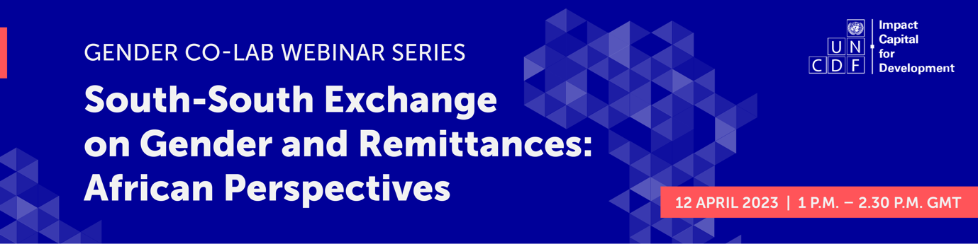 South-South Exchange on Gender and Remittances: African Perspectives ...